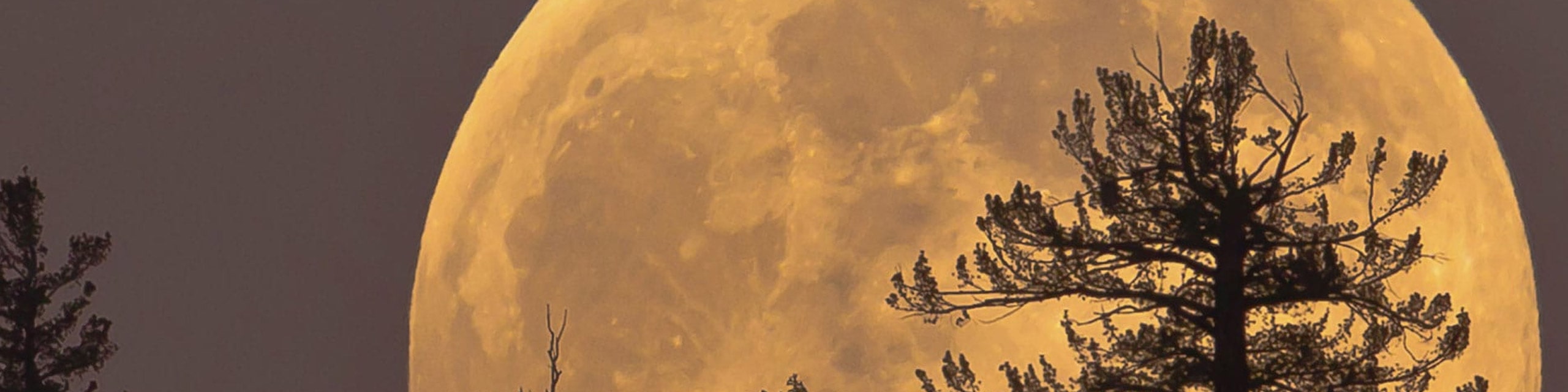 Perth The Supermoon Appears On The 28th Of September - Perth Observatory